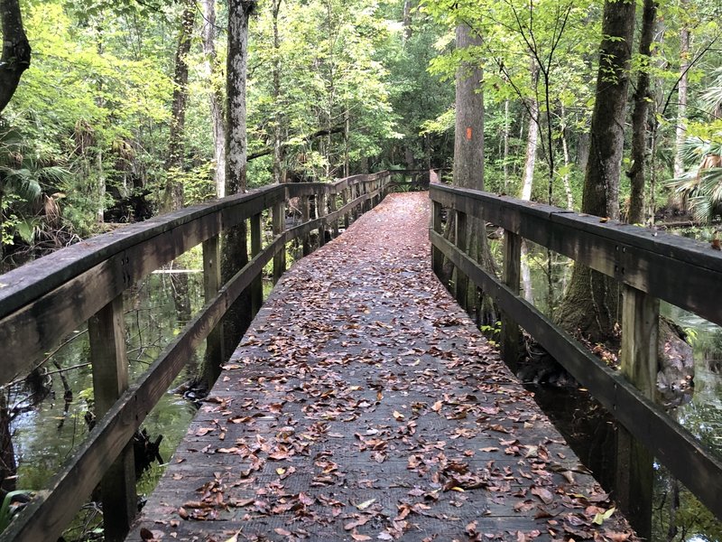 MHC Cross Florida Greenway: Marshall Swamp Hiking Trail, Silver Springs ...