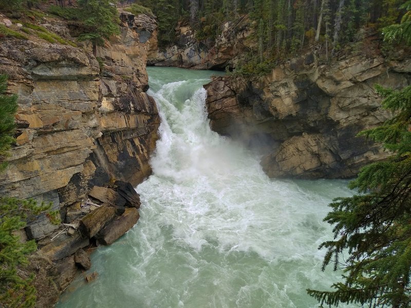Lower Sunwapta Falls Trail Hiking Trail, Jasper Park Lodge, Alberta