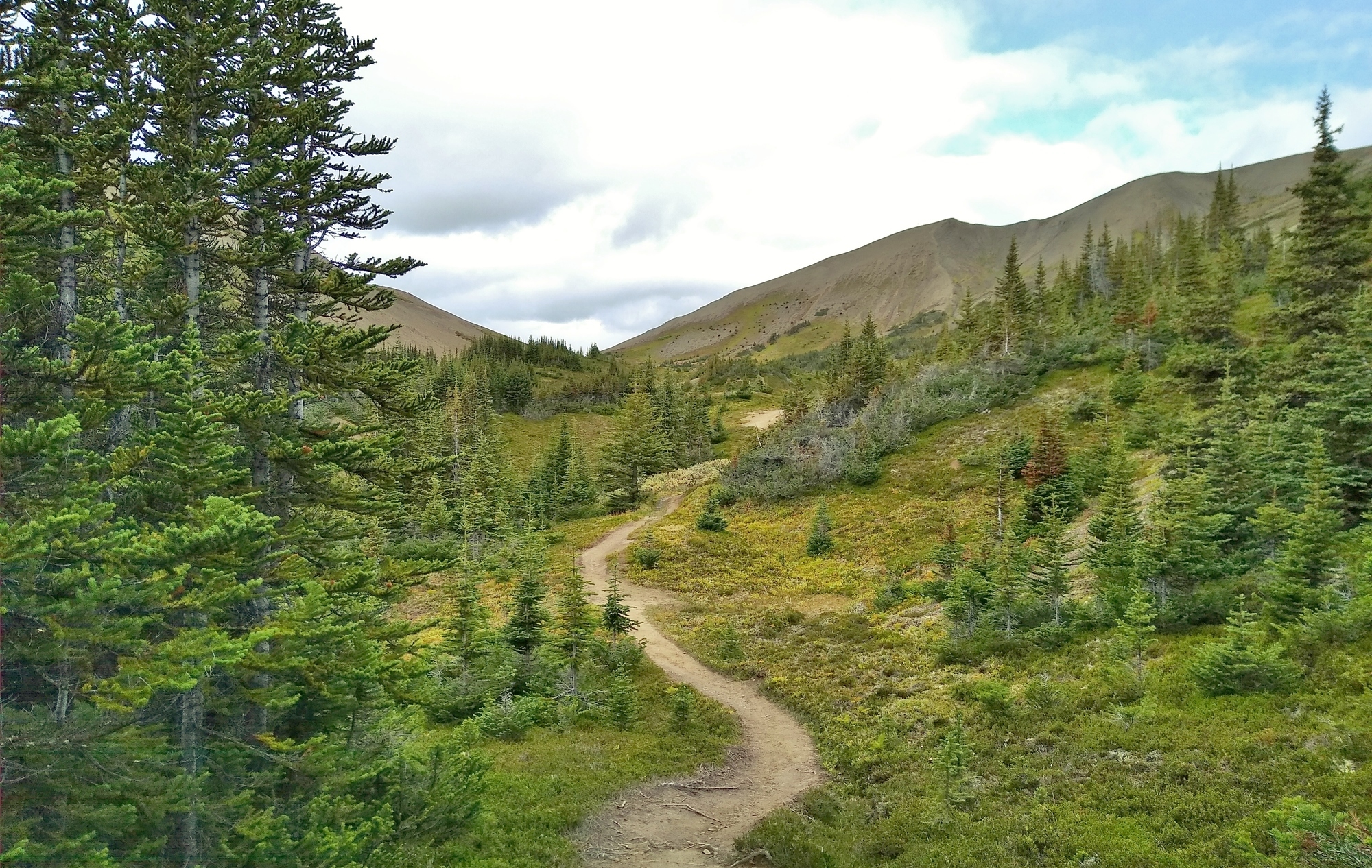 Little Shovel Pass (center left), approaching it from the south on ...