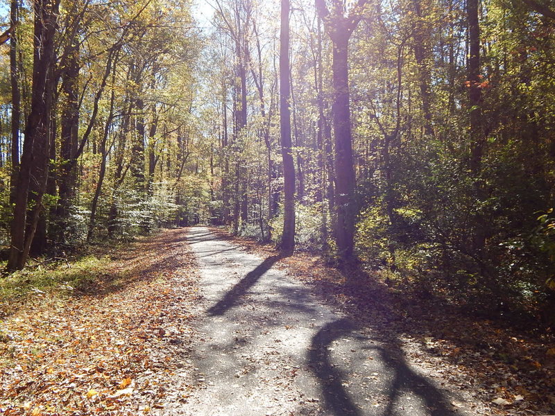 Paw Paw Trail Hiking Trail, Dunkirk, Maryland