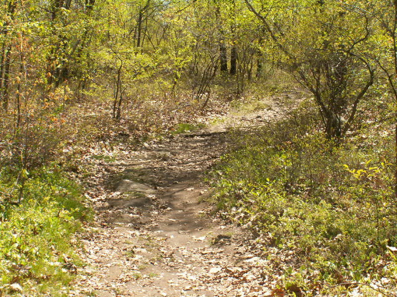 Looking up Whipple Hill. Photo provided by Town of Lexington ...