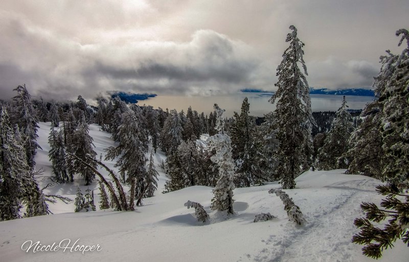 Chickadee Ridge Hiking Trail, Incline Village, Nevada