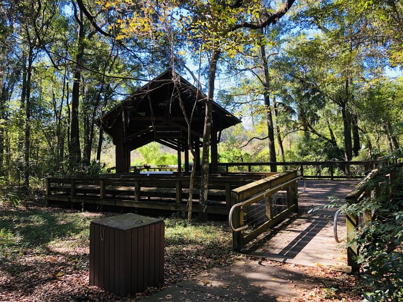 Bivens Arm Nature Park Loop Hiking Trail, Gainesville, Florida