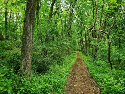 Hiking Trails near Easton