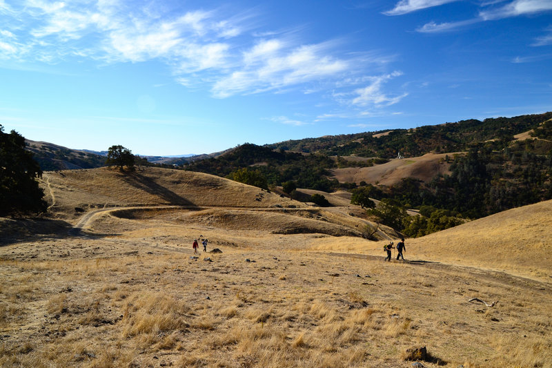 Ohlone Wilderness Trail Hiking Trail, Milpitas, California