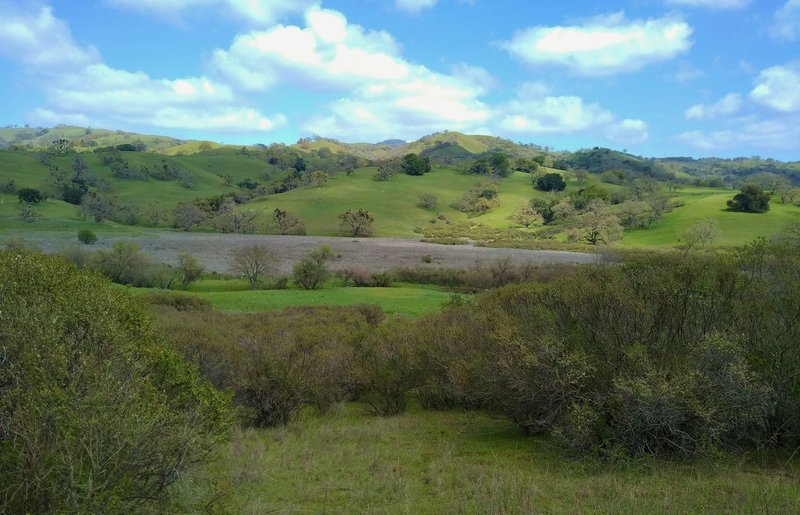 Spring turns the Diablo Range hills green. The San Felipe Creek flows ...
