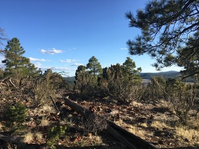 Hiking Trails near Kaibab National Forest
