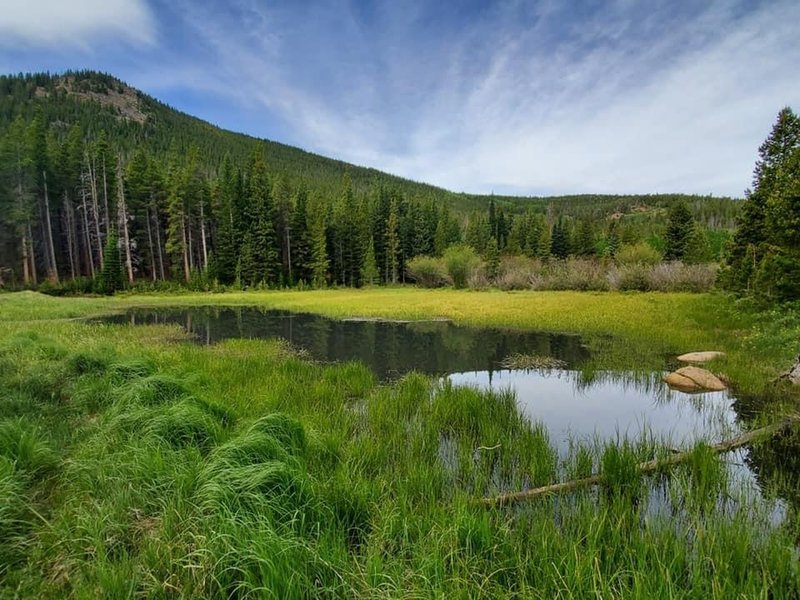 Wild River Trail Hiking Trail, Estes Park, Colorado
