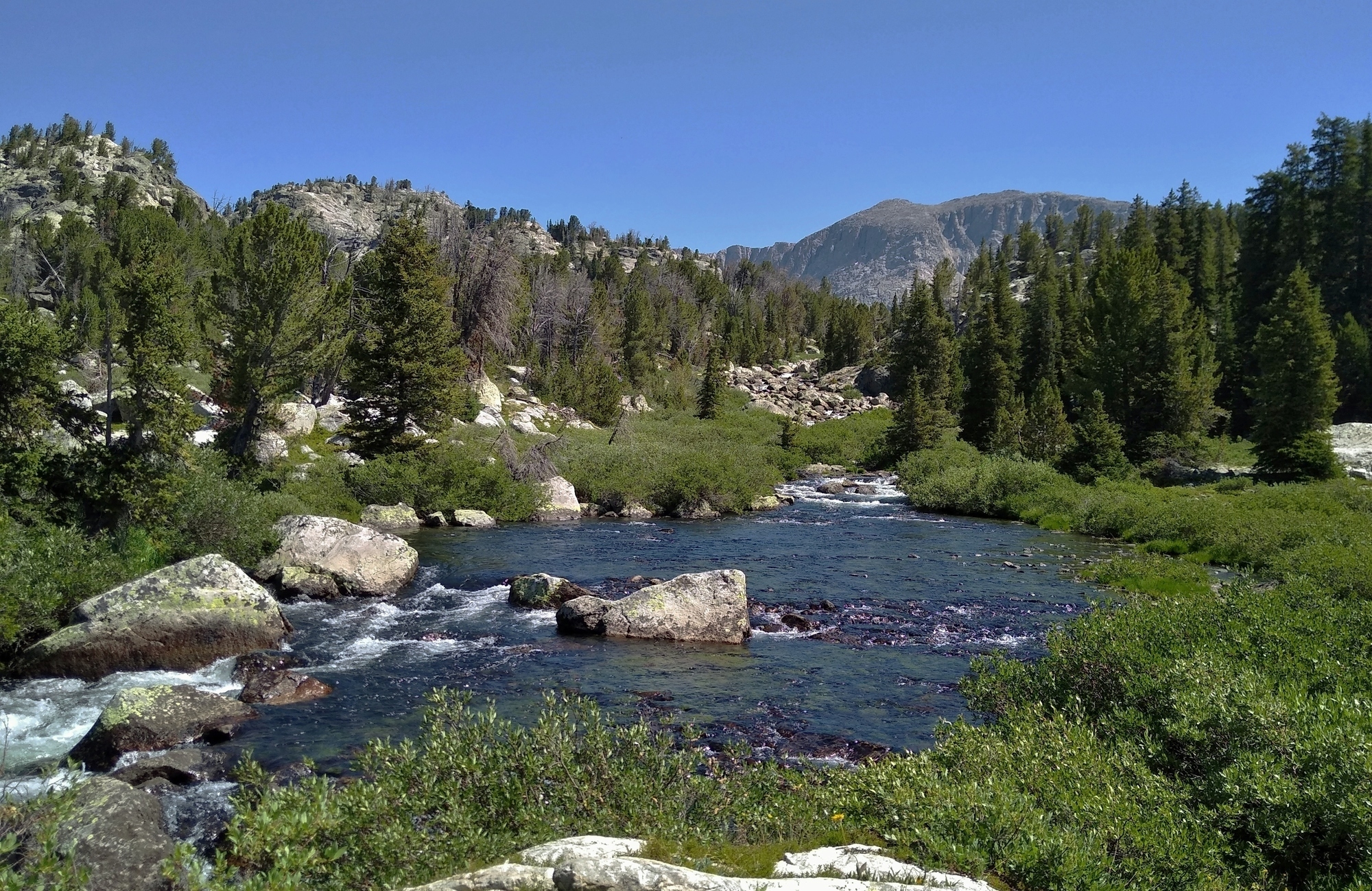 Pole Creek at the start/end of Cook Lake Loop.