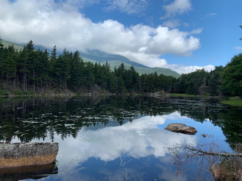 Lost Pond Trail Hiking Trail, Pinkham Notch, New Hampshire