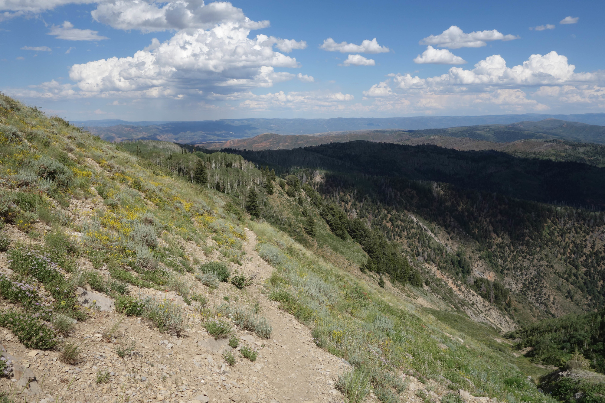 View northeast along the Mt. Nebo bench trail in the direction of the ...