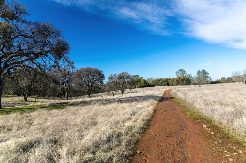 Auburn State Recreation Area Canyon Keepers (ASRACK)