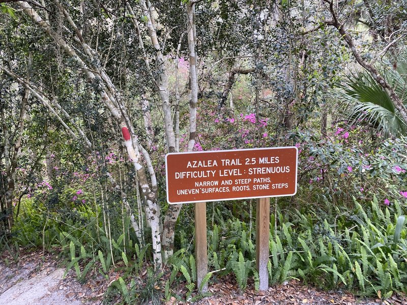 Ravine Gardens State Park Hiking Trail, Palatka, Florida