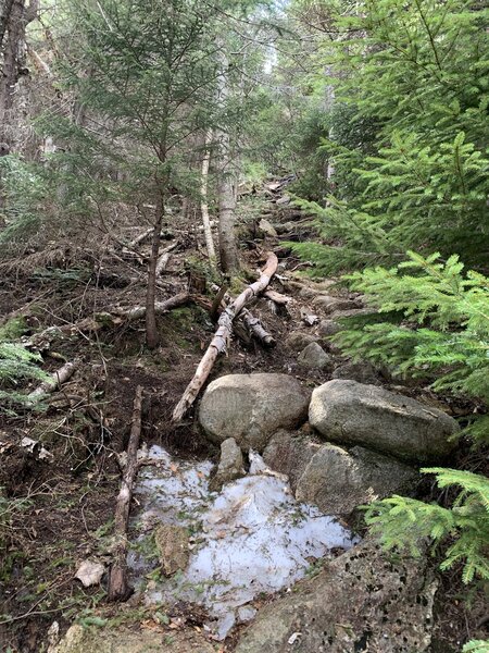 Square Ledge Trail Hiking Trail, Ferncroft, New Hampshire