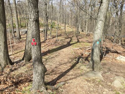 Hiking Trails near Blauvelt State Park