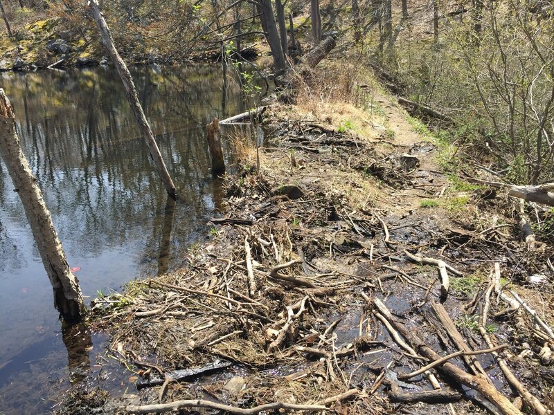 Butler Reservoir Loop Hiking Trail, Kinnelon, New Jersey