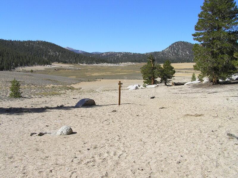 Mulkey Meadow from intersection of Trail Pass trail #3504 and Mulkey ...
