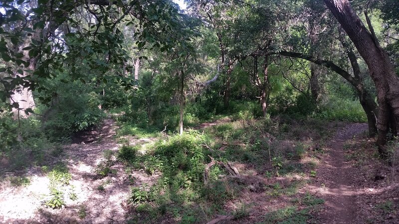 Outer Loop Hiking Trail, New Braunfels, Texas