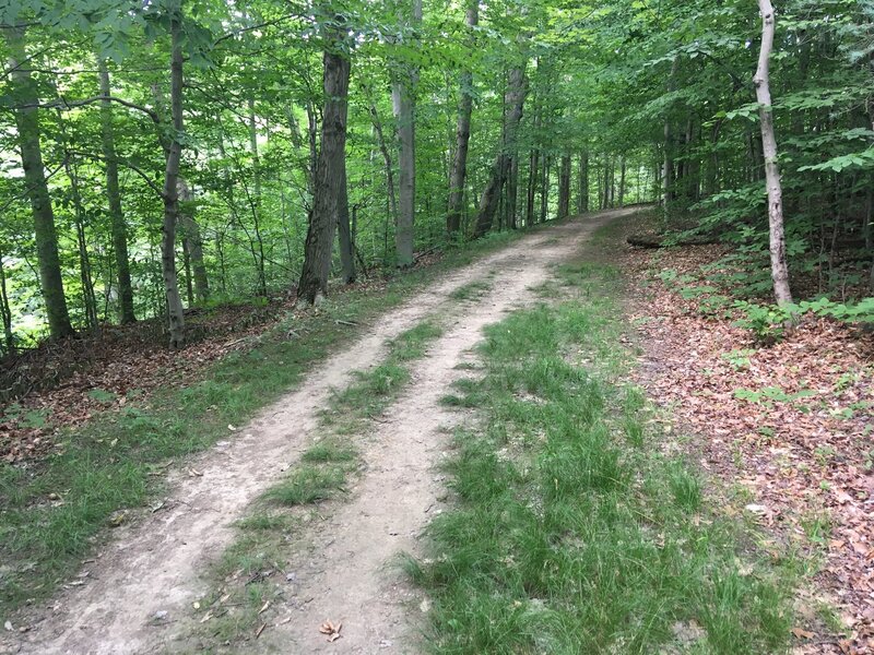 Typical trail section for this hike. Flat, packed, wide dirt lanes ...