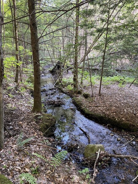 Yellow Trail Hiking Trail, Glens Falls North, New York