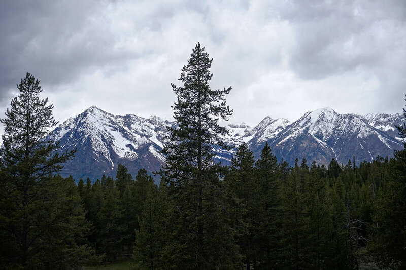 Jackson Lake Overlook Trail Hiking Trail, Yellowstone South Entrance ...