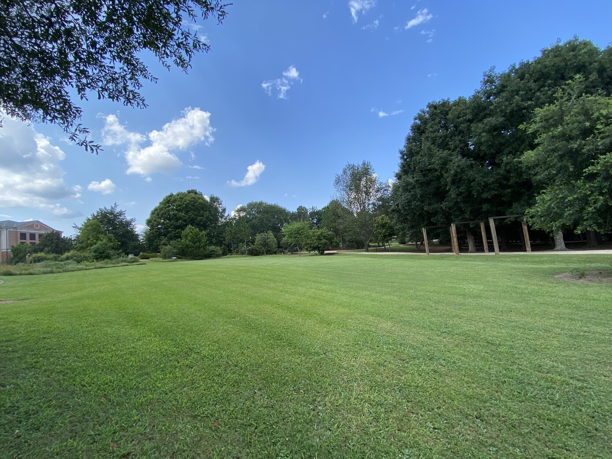 Open field located along the Donald E. Davis Arboretum Outer Rim Trail.