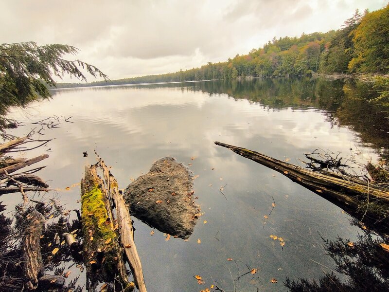 Deer Pond Trail Hiking Trail, Tupper Lake, New York