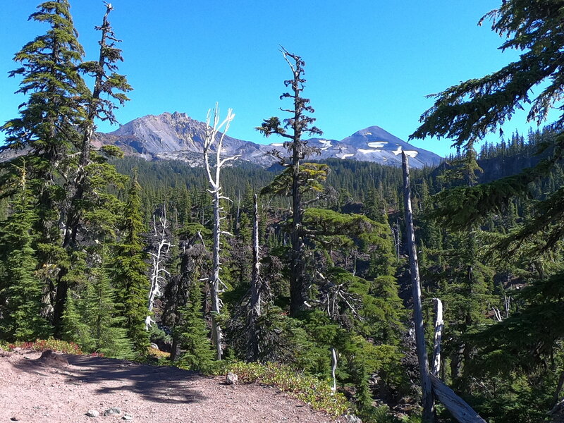 Obsidian Trail #3528 Hiking Trail, McKenzie Bridge, Oregon
