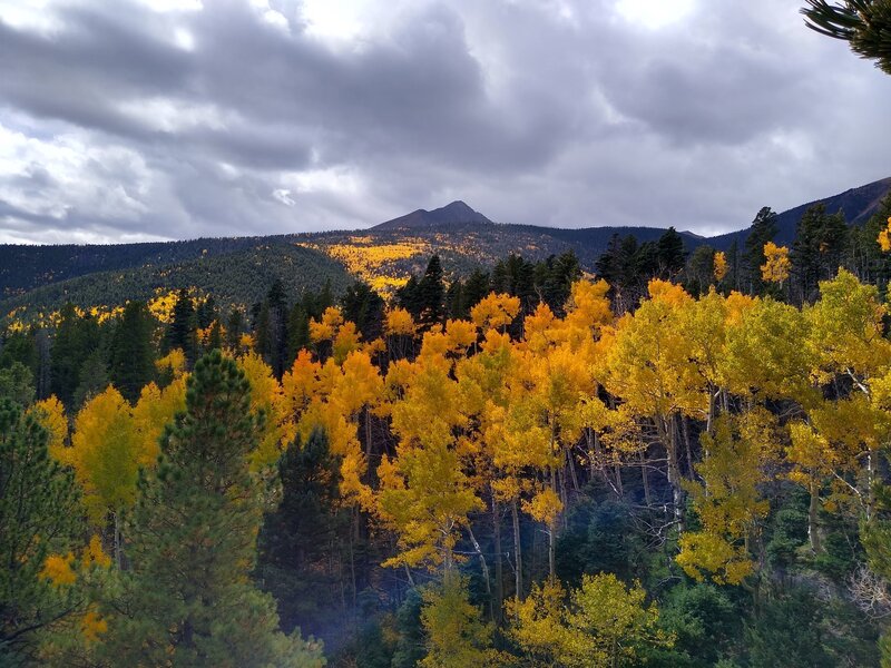 Venable - Comanche Loop Hiking Trail, Westcliffe, Colorado