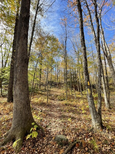 Yellow Trail Hiking Trail, Litchfield, Connecticut