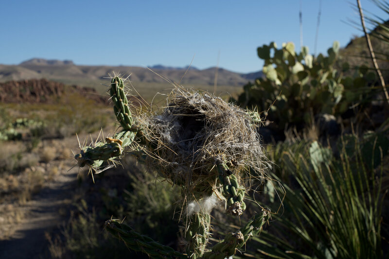 Burro Spring Trail Hiking Trail, Big Bend National Park, Texas