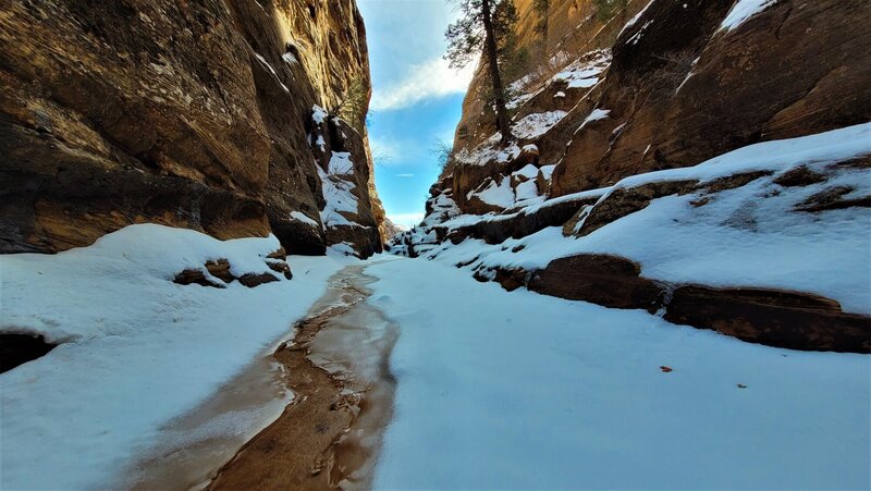 Water Canyon Trail Hiking Trail, Hildale, Utah