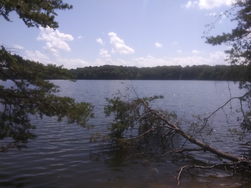Lake Reidsville Park Hiking Trail, Reidsville, North Carolina