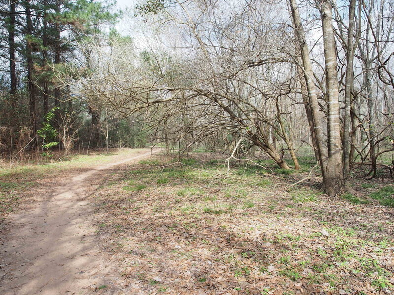 This is one of the older doubletrack sections of trail at Cullinan ...