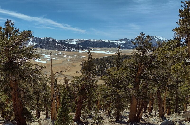 Meadows and mountains of the Golden Trout Wilderness are seen looking ...