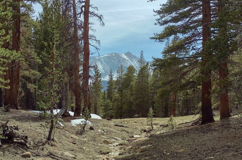 The northern end of Red Spur ridge peaks through the trees from the far ...
