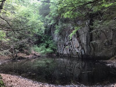 Hiking Trails near Fort Dummer State Park