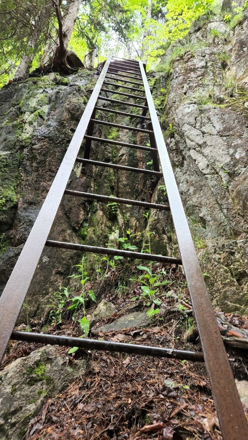 One of the largest ladders near the very end of the trail just shy of ...