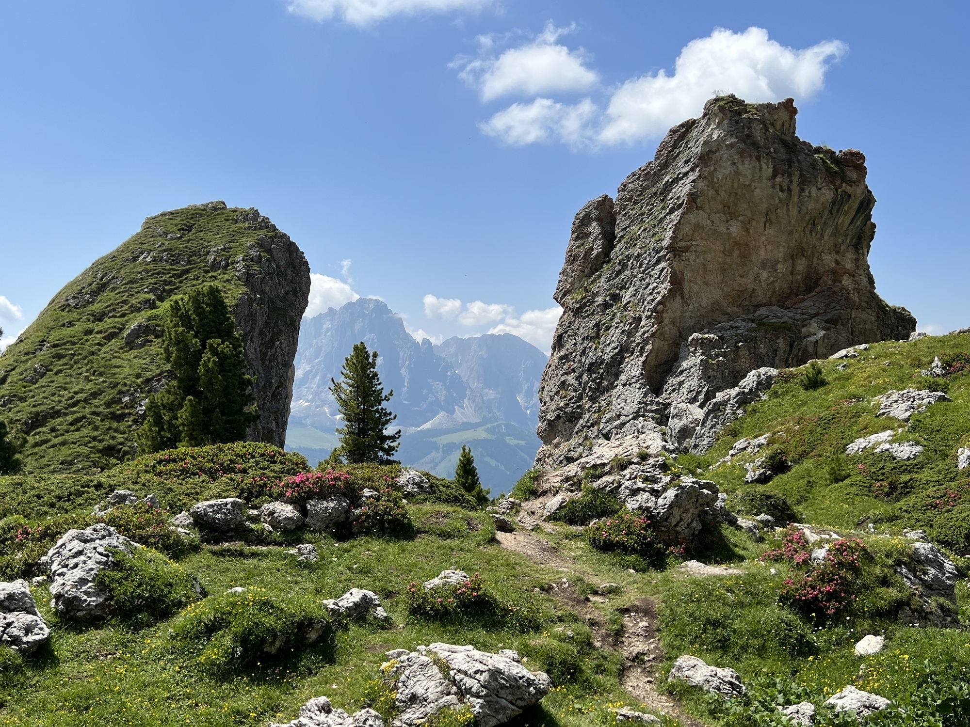 Cool rocks with Sassolungo / Sasso Piatto in background