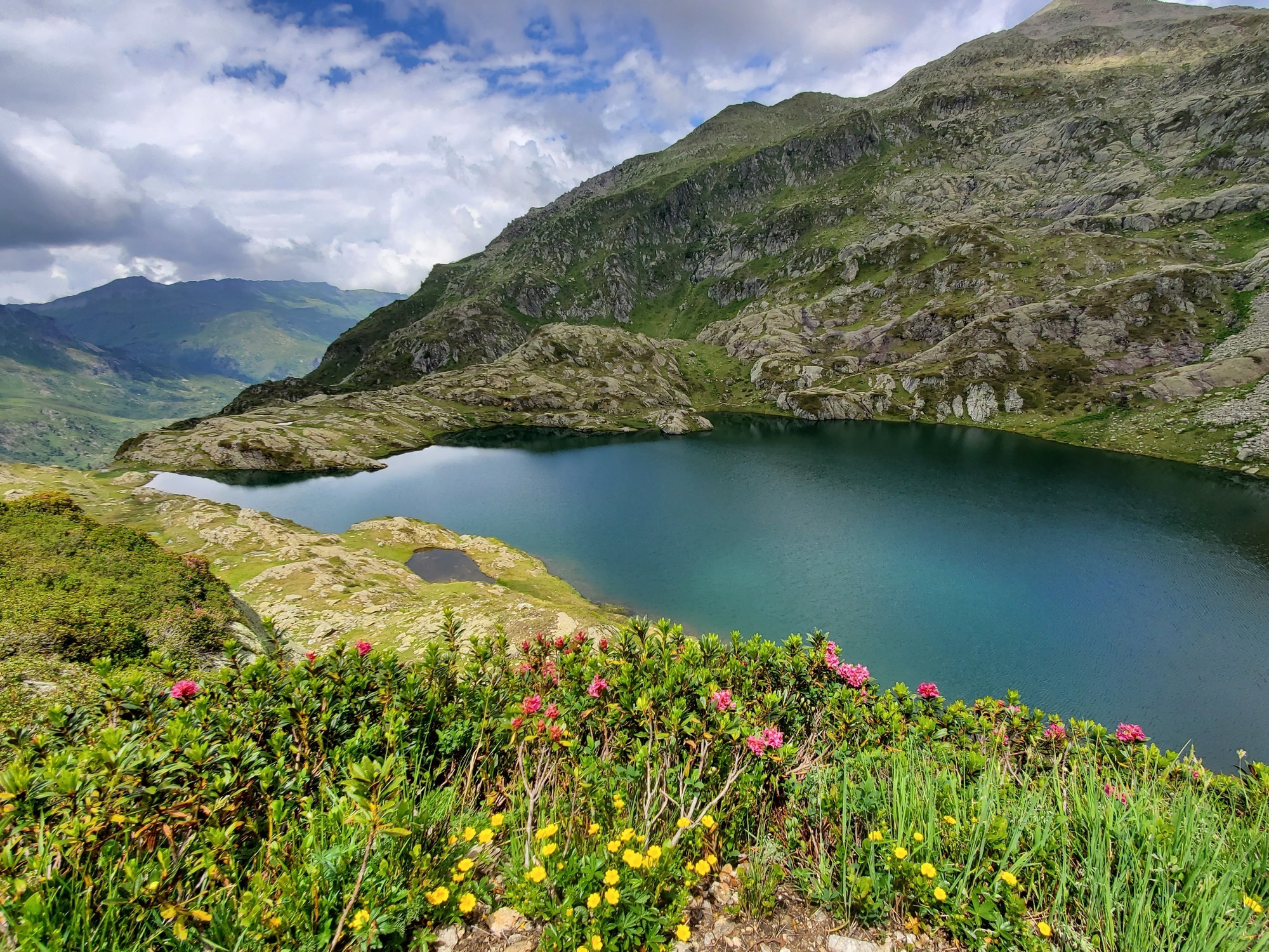 Wildflowers ringing Lac du Brevent