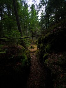 Bush Bay Hiking Trail (Narnia Trail) Hiking Trail, Saint Ignace, Michigan