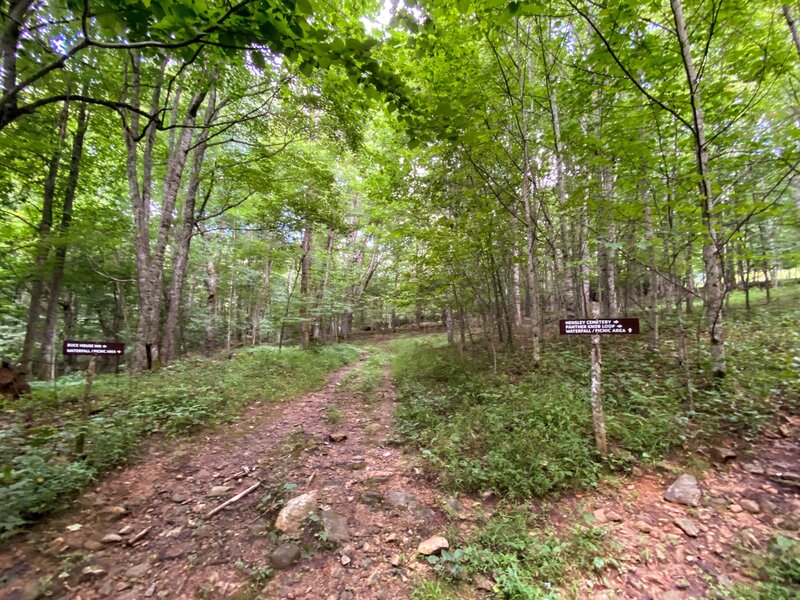 Bald Mountain Creek Loop Hiking Trail, Burnsville, North Carolina