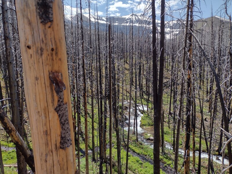 Akamina Pass Trail Hiking Trail, Pincher Creek, Alberta