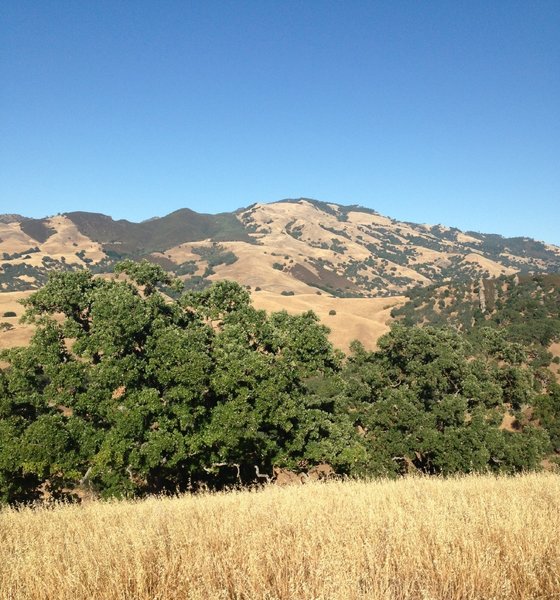 Shell Ridge Loop Trail Mountain Bike Trail, Saranap, California