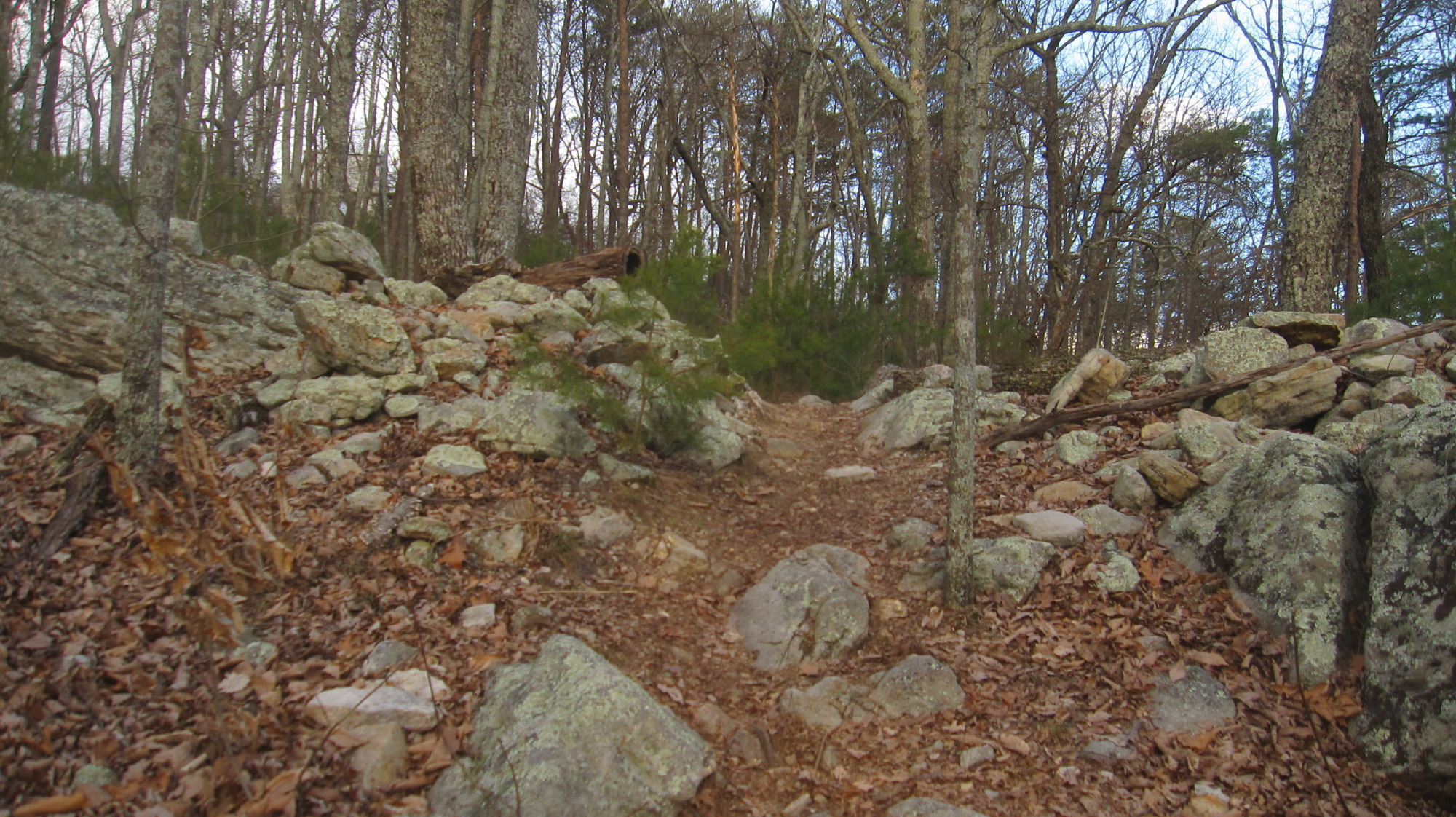 Civil War breastworks near the cell towers on Dug Gap.