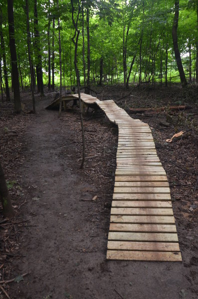 This is a bridge feature built using a fallen tree. It's nearly 2 feet ...