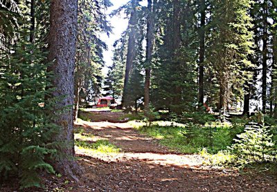 Cultus Lake Loop Mountain Bike Trail, Three Rivers, Oregon
