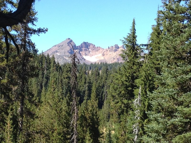 Metolius-Windigo: Todd Lake Mountain Bike Trail, Deschutes River Woods ...