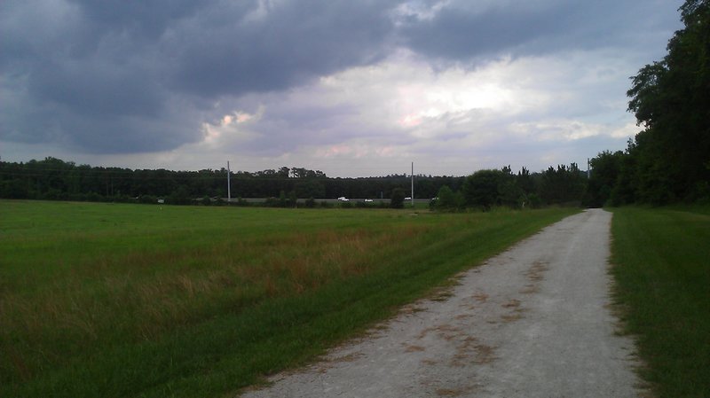 Miccosukee Canopy Road Greenway Mountain Bike Trail, Tallahassee, Florida