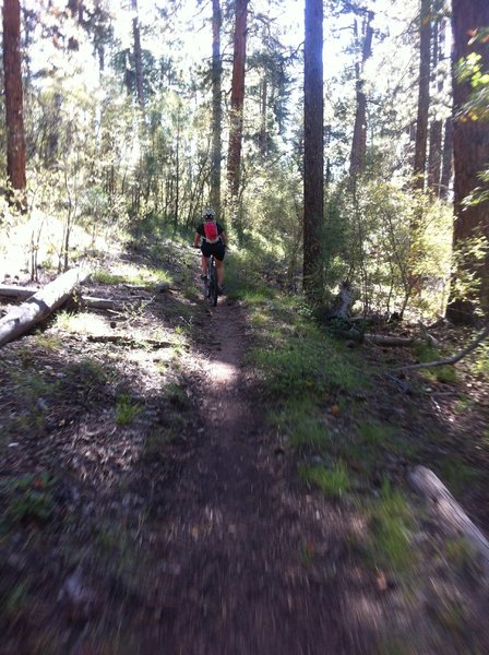 Fast riding on the Rainbow Rim trail between Fence and Locus Points.